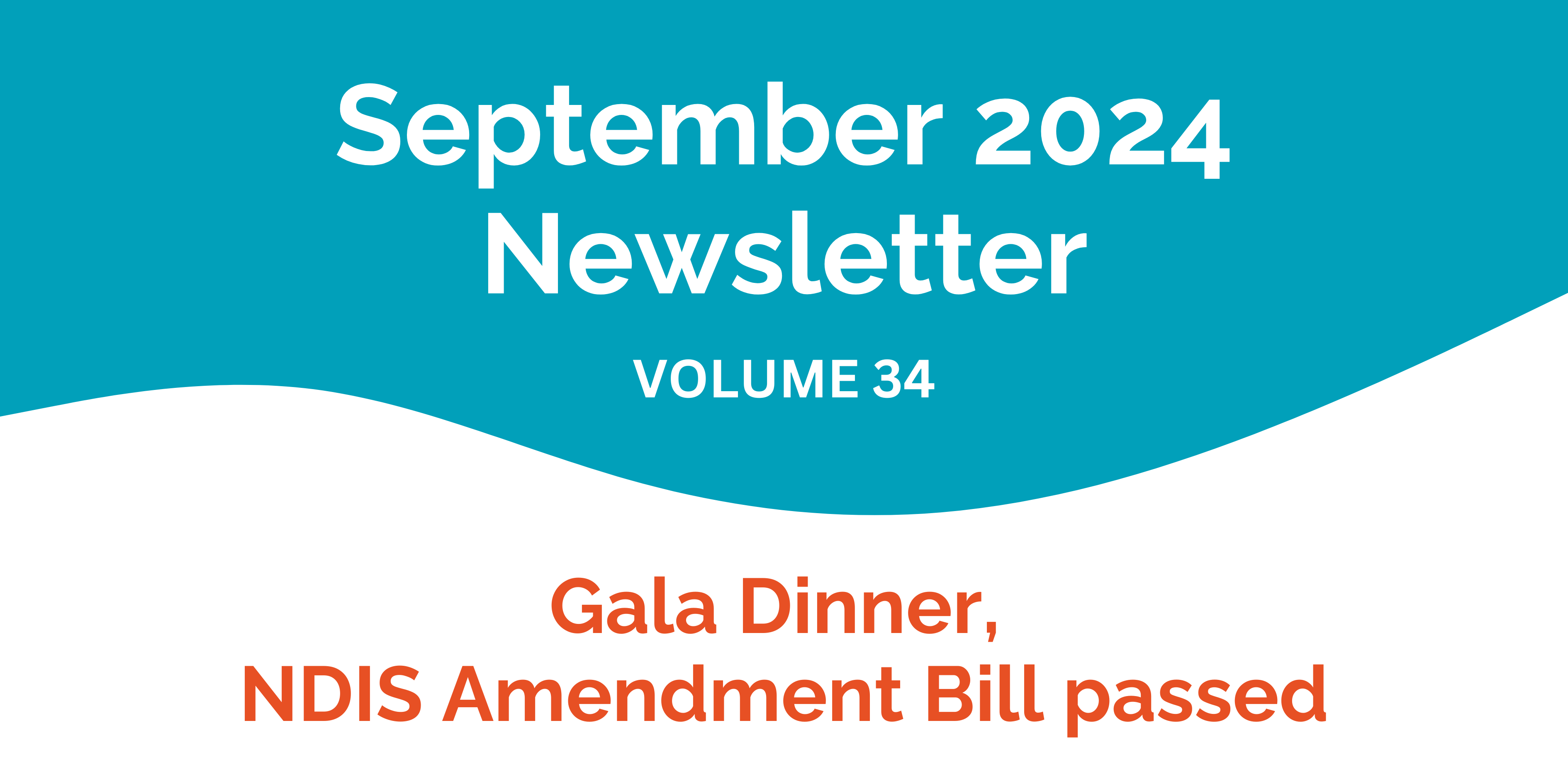 IDS Newsletter | September 2024 - Independent Disability Services